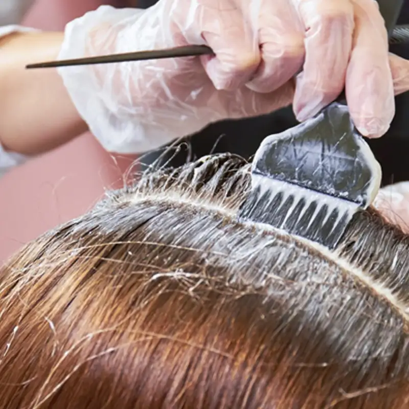 Aplicación de tinte global – Jaz Lomelí – Beauty Studio